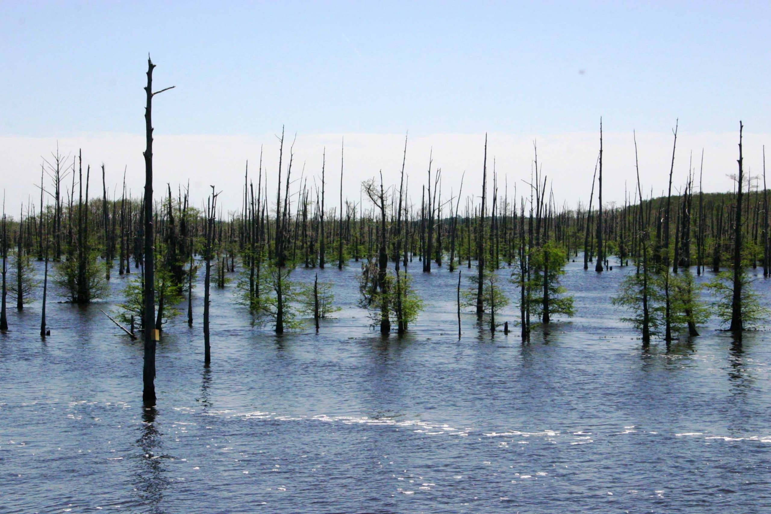 Black Lake - Natchitoches Visitors Bureau